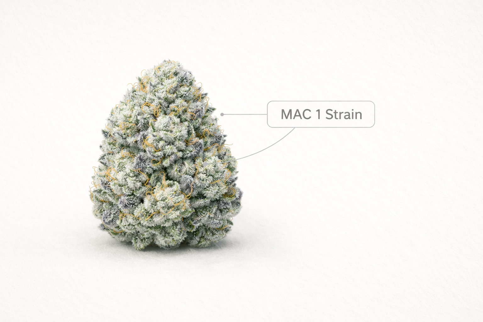 MAC 1 Strain | Effects, Flavor, THC, Lineage & More | Pettals Cannabis ...